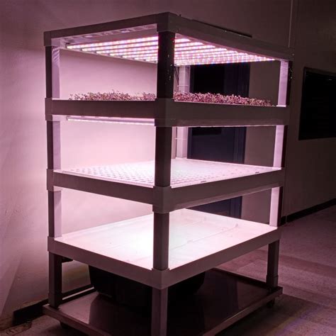 Sananbio 5 Layer Radix System Equipped