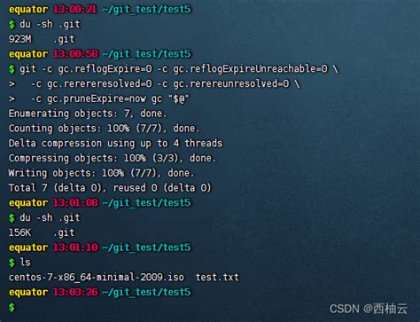《数据保护指南 下》——使用git保护代码git Gc Prunenow Csdn博客 《数据保护指南 下》——使用git保护代码git Gc Prunenow Csdn博客