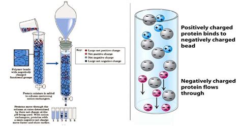 Column Chromatography Setup