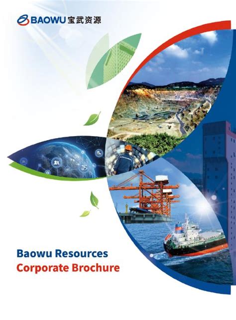 宝武资源有限公司