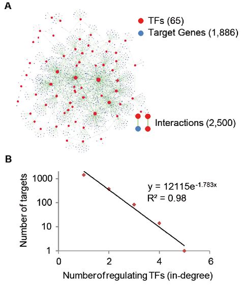 Core Transcriptional Regulatory Network In Cows A Graphical Download Scientific Diagram