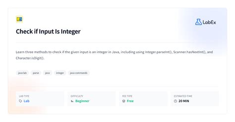 Java 에서 입력값이 정수인지 확인하는 방법 Labex