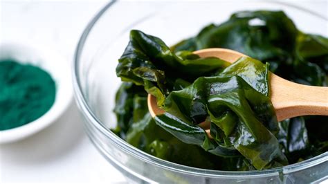 12 Reasons You Should Be Eating More Kelp