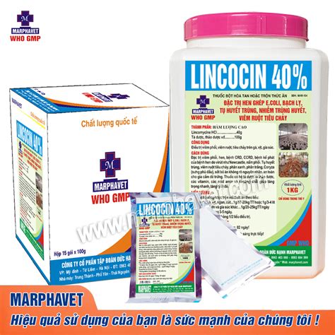 Lincocin 40 Tập đoàn Đức Hạnh Marphavet Bmg