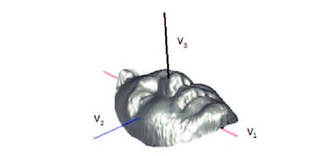 A 3 D Face With Three Eigenvectors Download Scientific Diagram