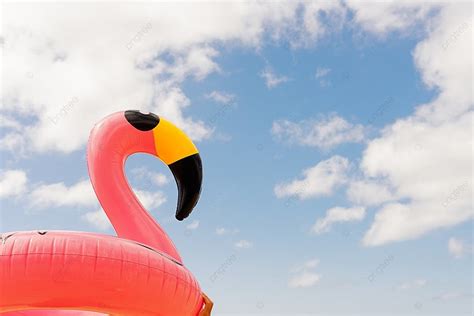 여름 푸른 하늘 배경에 핑크 풍선 플라밍고 머리 해변에 핑크 플라밍고 사진 및 무료 다운로드를위한 그림 Pngtree