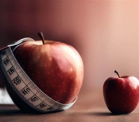 dataiku on linkedin ml models on a data diet