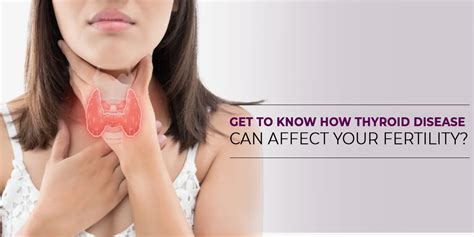 Get To Know How Thyroid Can Affect Your Fertility Zeeva Fertility Clinic