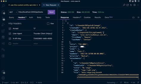 Use The Auto Generated Api Saasrock Documentation
