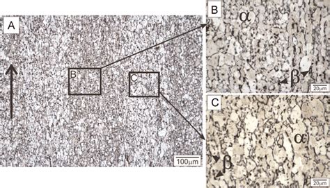 Microstructure Of Ti 6al 4v As Received Condition A Rolling