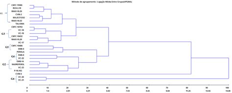 Representative Dendrogram Of The Clustering Of 25 Common Bean Genotypes Download Scientific