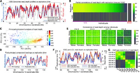 Figure 1 From Genetic Variation In Human Dna Replication Timing