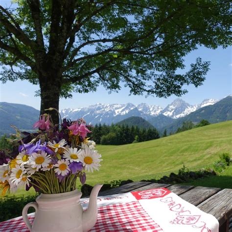 Hüttenland ️ Einst Ein Sacherl Ein Mini Bauernhof