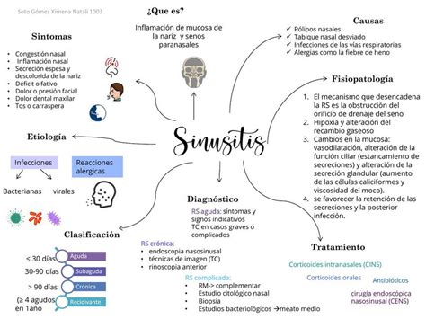 Sinusitis Ximena Soto Udocz