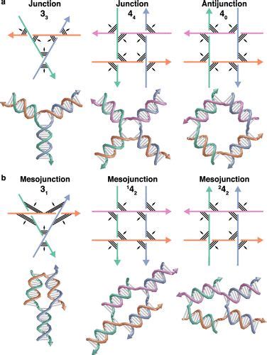 Yoel Ohayon On Linkedin Mesojunction Based Design Paradigm Of