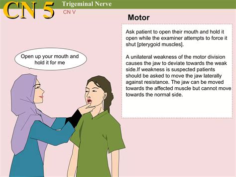 Cranial Nerve Examination Ppt Eye And Vision Conditions Diseases
