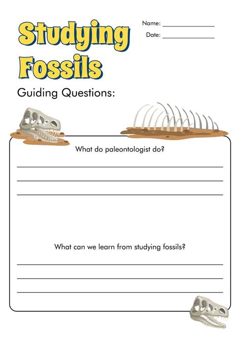 11 Fossils Activities Worksheets Fossils Activities Science Lesson