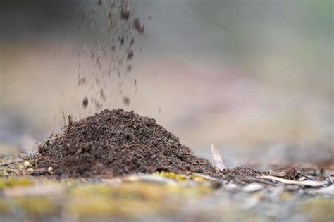 Premium Photo Soil Scientist Agronomist Farmer Looking At Soil Samples And Grass In A Field In