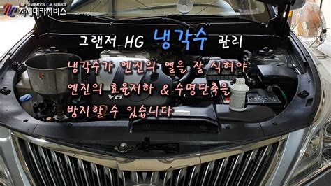 그랜저 Hg 냉각수 관리 냉각수교환 And 브라운가스 시공 Youtube