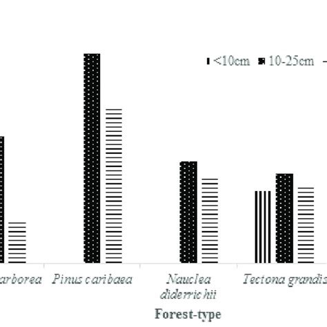 Tree Diameter Classes Download Scientific Diagram