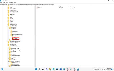How To Enable Or Disable TLS Setting In Windows Developing Daily