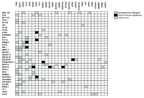 Wt1 Alterations In Different Cell Lines An Overview Of Ngs Results Download Scientific
