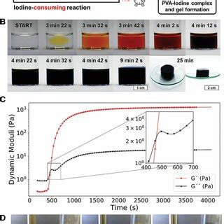 A Mechanism Of The IPT PVA System B Photographic Sequence Showing A Download Scientific
