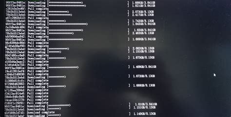 使用sh run docker sh data后 下载的镜像不太对 新手上路 地瓜机器人论坛