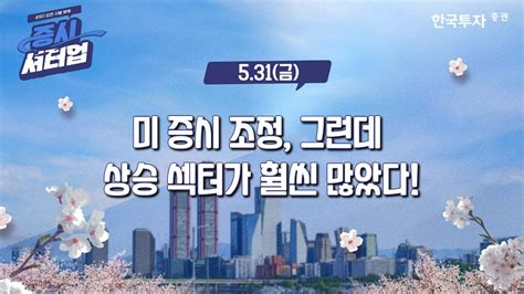 0531증시셔터업 미 증시 조정 그런데 상승 섹터가 훨씬 많았다 대포차 데브시스터즈 피엔티 퓨어스토리지pstg