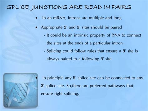 PPT RNA SPLICING PowerPoint Presentation Free Download ID 6522148