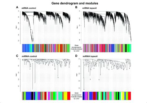 Gene Co Expression Modules Identified For The Mrna Control Group A