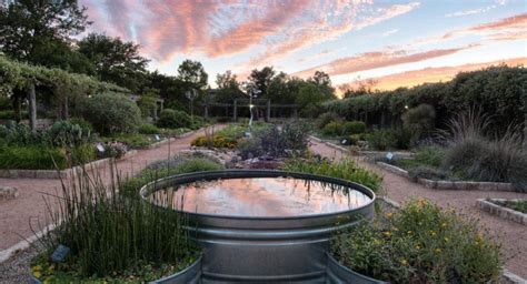 Wildflower Center Named Texas State Botanic Garden And Arboretum School Of Architecture