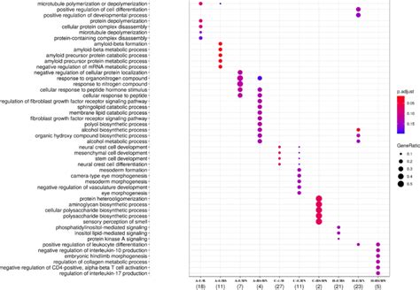 pathways enriched with dmr related genes obtained from each contrast