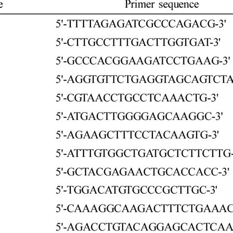 Primers Used In Pcr And Nested Pcr Analysis For Detection Of Bpv 2