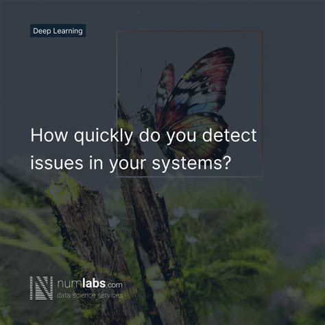 numlabs data science services on linkedin anomalydetection ai