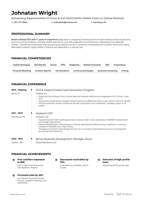 Cfo Resume Examples Professional Resume Examples Resume 51 Off