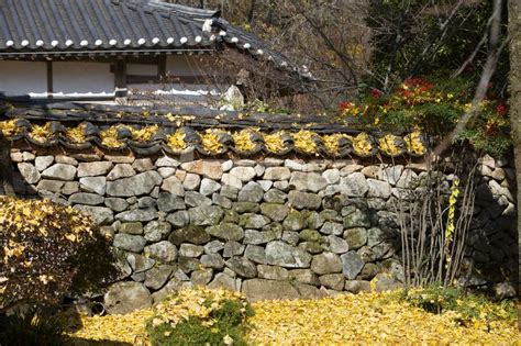 가을 풍경 한옥 Onepro 사진 건물 풍경 나뭇잎 단풍 은행잎 낙엽 노란색 기와 지붕 기와지붕 한옥