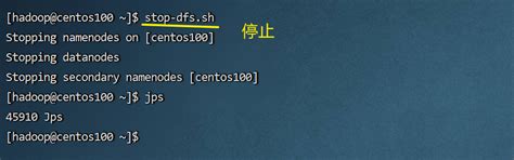 大数据技术之hadoop：hdfs集群安装篇（三）hdfs安装 Csdn博客