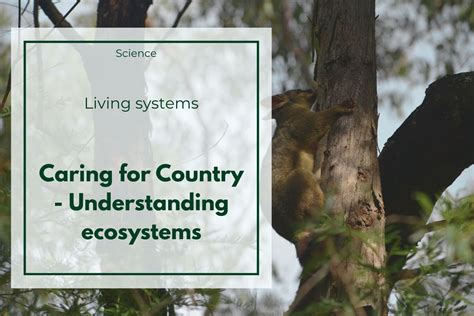 Living Systems Caring For Country Understanding Ecosystems