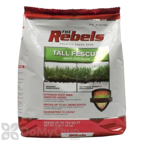 The Rebels Tall Fescue Blend Powder Coated Grass Seed