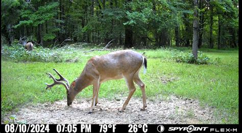 Sites Spypoint Us Site