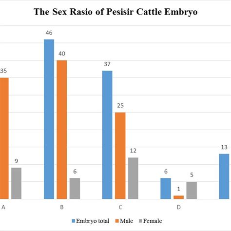 The Diagram Of The Sex Rasio Of Pesisir Cattle Embryo Download