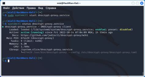 Ethical Hacking And Penetration Testing InfoSec IT Kali Linux BlackArch