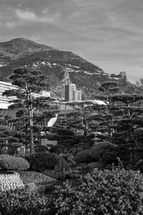 카를로 배경 일러스트 카를로 사진 벡터 및 Psd 파일 무료 다운로드 Pngtree
