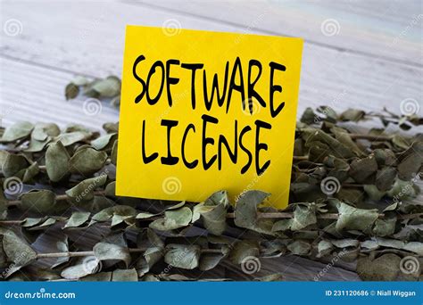 Software License Agreement Slow Internet Connection Outdated Software Computer Lag Lagging
