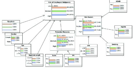 Bayesian Network Version Based On Top Variables Scenario Blue Download Scientific