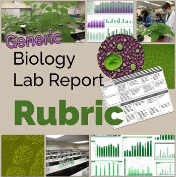 Rubric Biology Lab Report By The 2 Traveling Teachers TPT