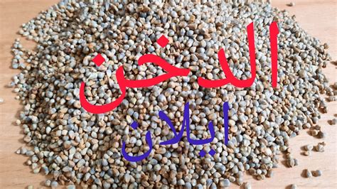 فوائد ومنافع الدخن إيلان Youtube