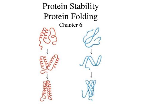 Ppt Protein Stability Protein Folding Chapter 6 Powerpoint Presentation Id247839
