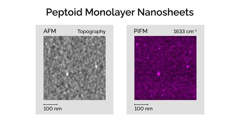 How To Characterize Peptoid Nanosheet Surfaces Molecular Vista